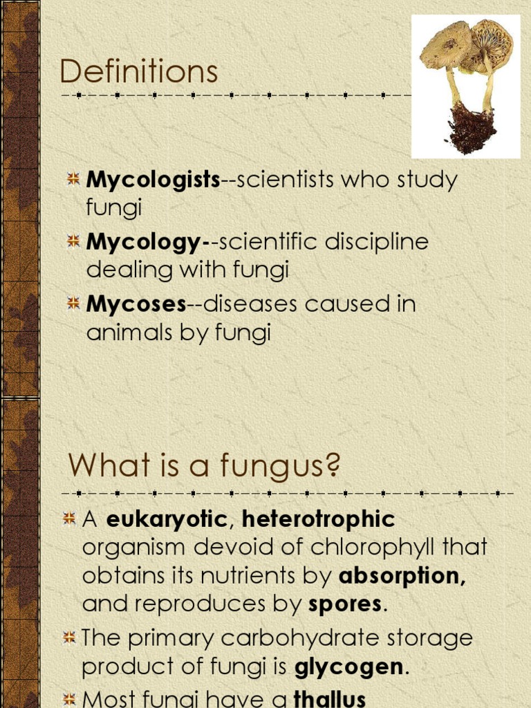 Classification of Fungi | Fungus | Eukaryotes