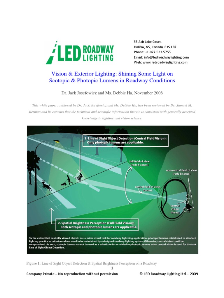 Scotopic vs Photopic | Visual Perception | Retina