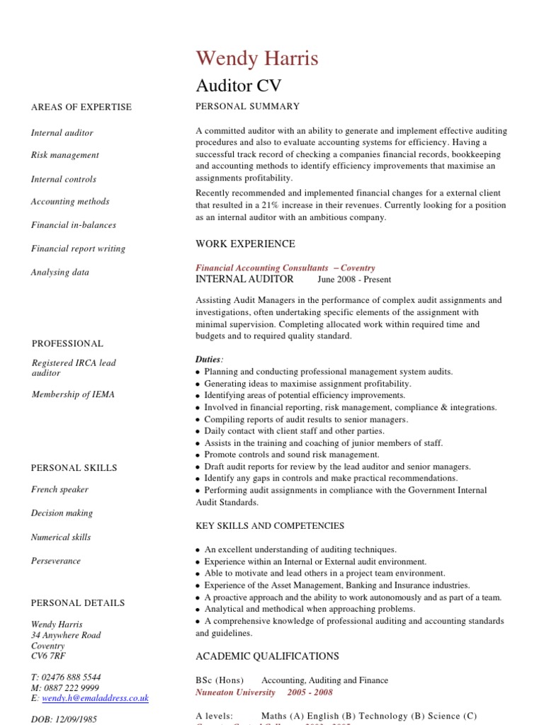 Auditor CV Template | PDF | Internal Audit | Audit