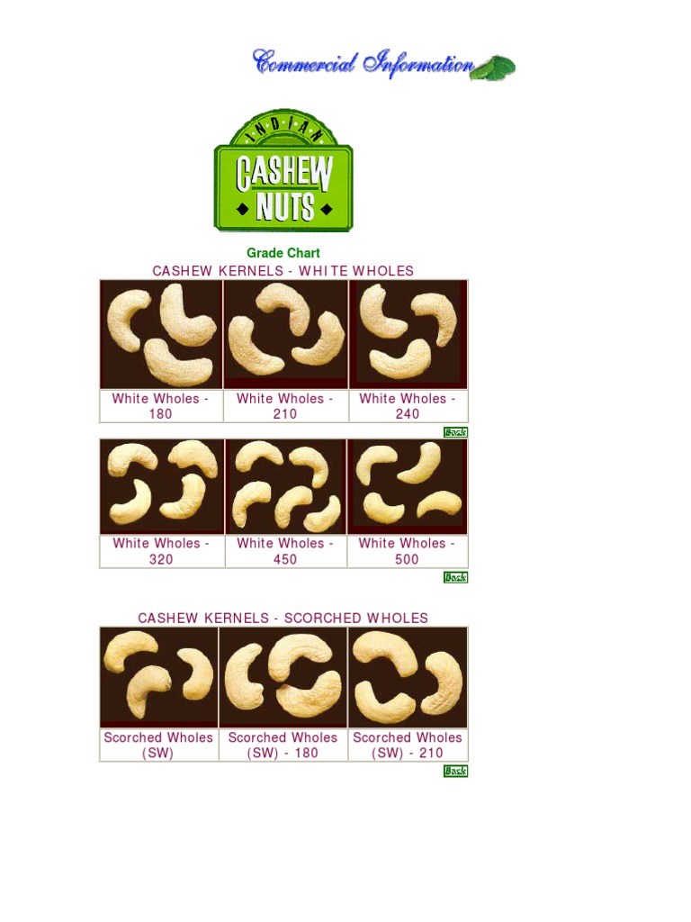Cashew Nut Grade Chart | PDF | Edible Nuts And Seeds | Seed