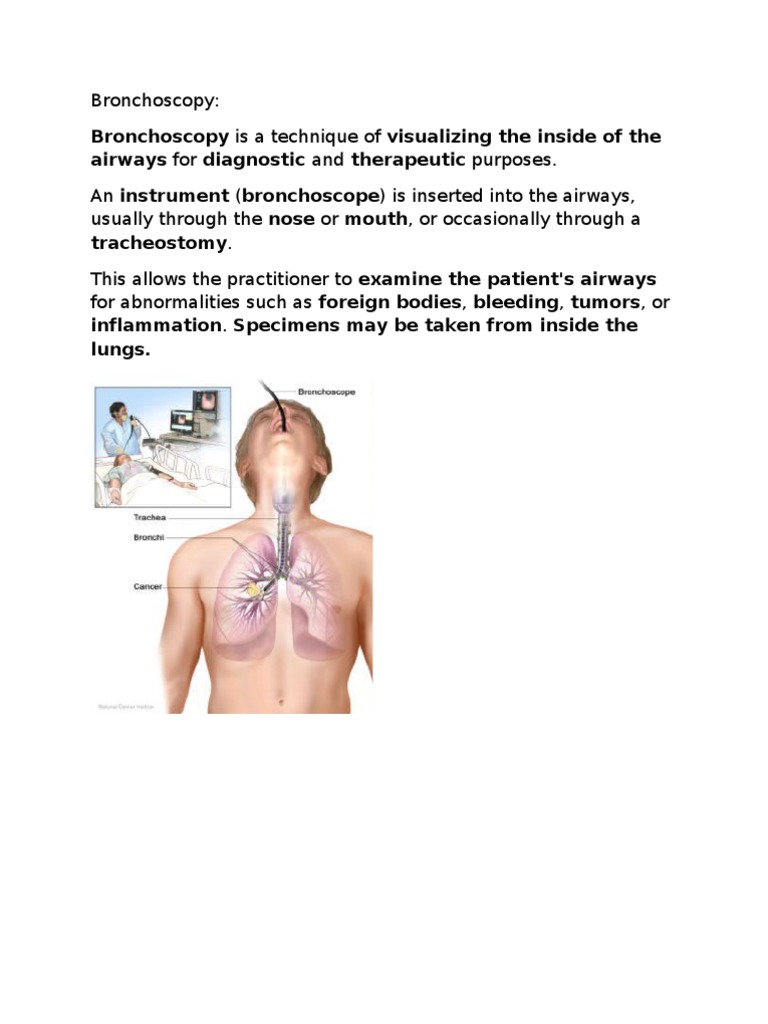 Bronchos | PDF | Medical Specialties | Respiratory System
