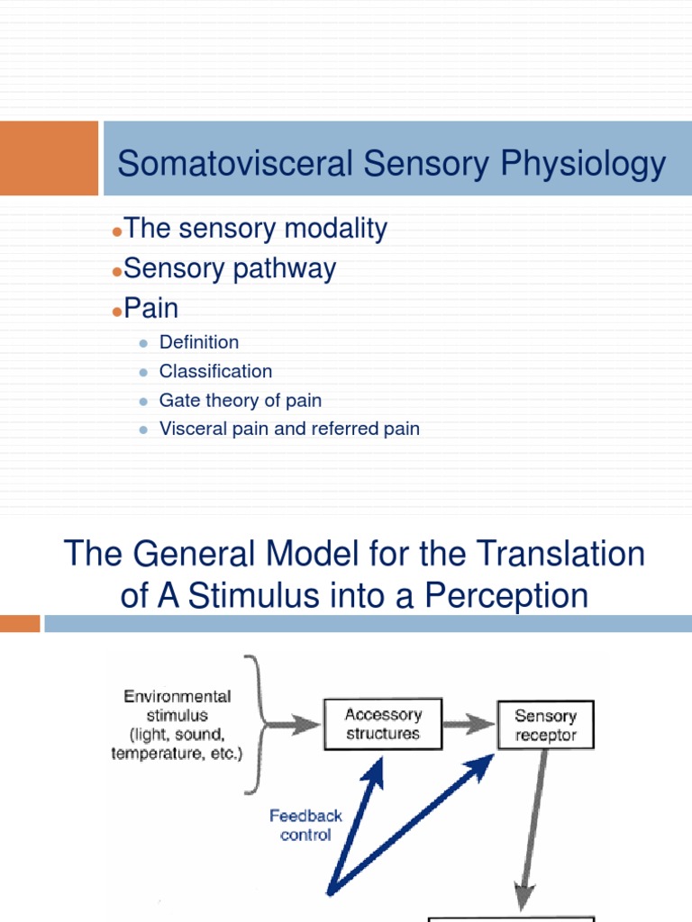 Somatovisceral Sensory Physiology: The Sensory Modality Sensory Pathway ...