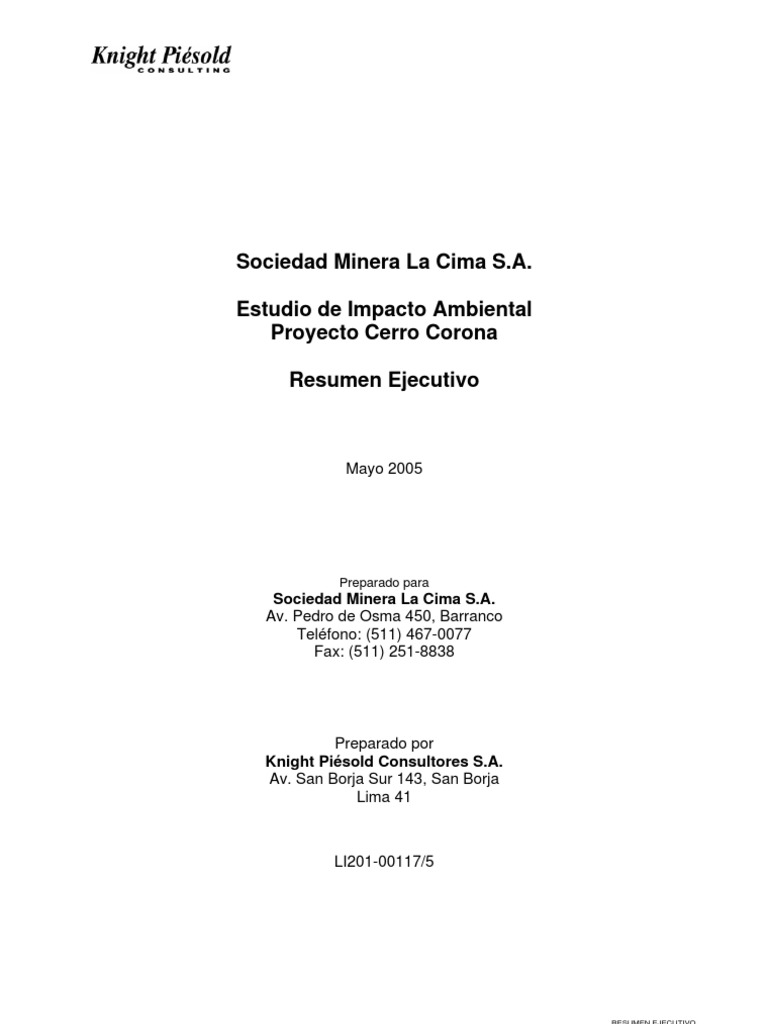 Resumen Ejecutivo EIA | PDF