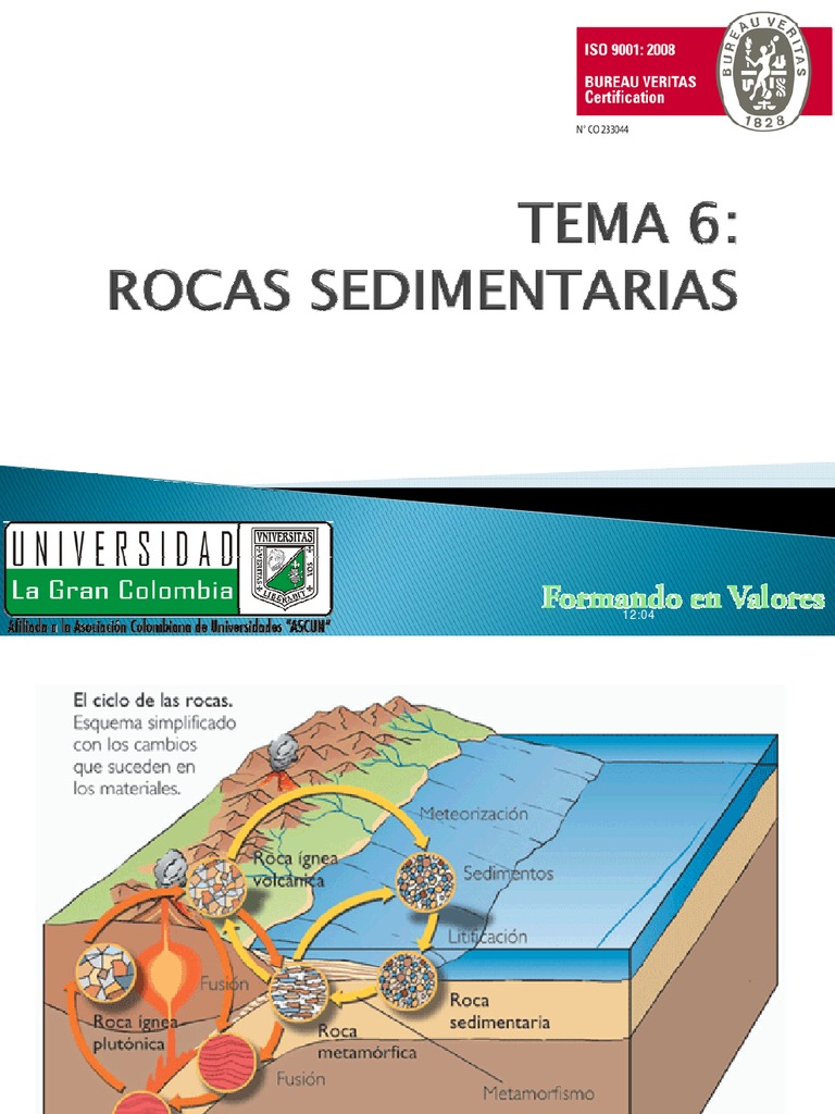 Formación y Clasificación de Rocas Sedimentarias | PDF | Meteorización ...