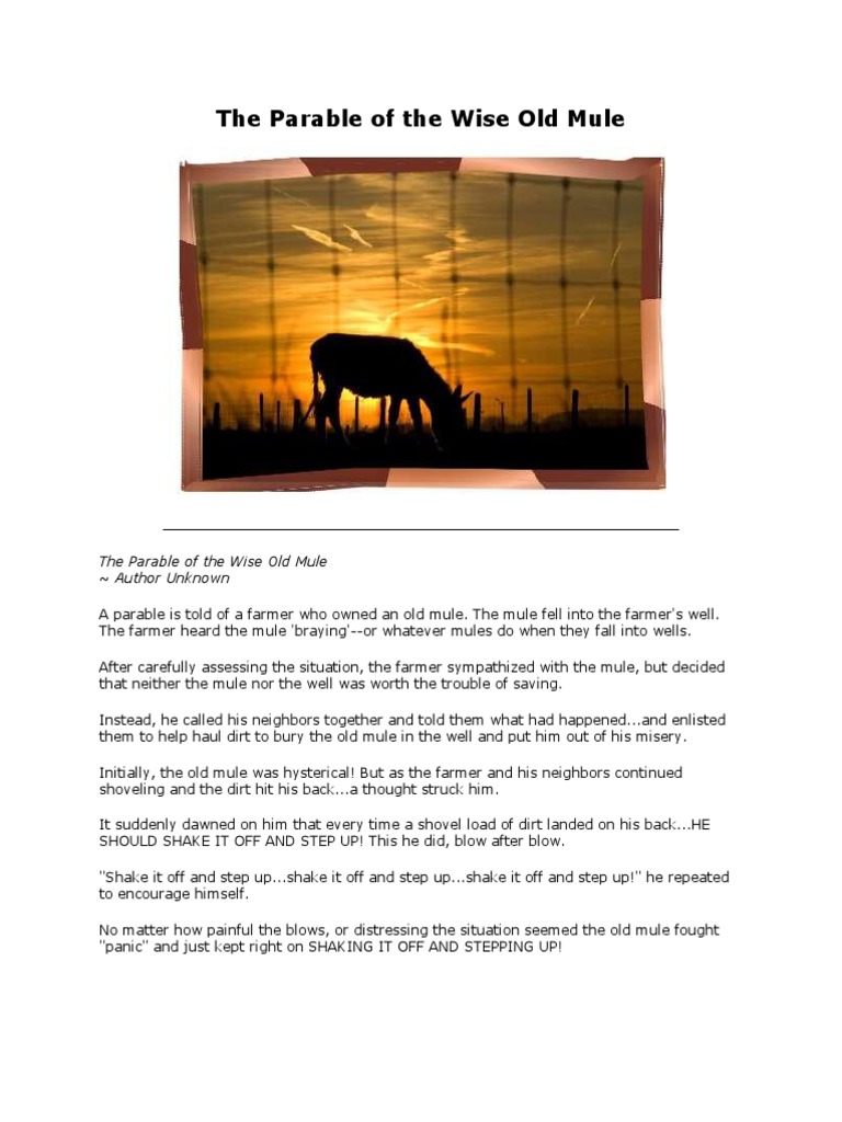 The Parable of The Wise Old Mule | PDF