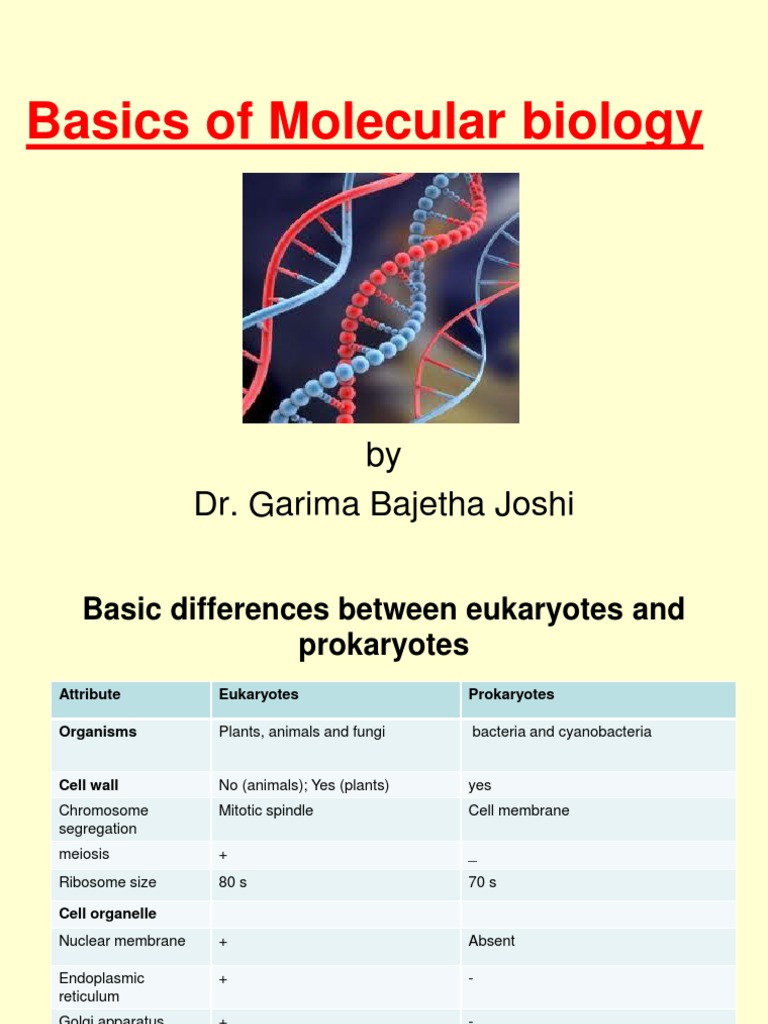 Basics of Molecular Biology | PDF | Rna | Translation (Biology)