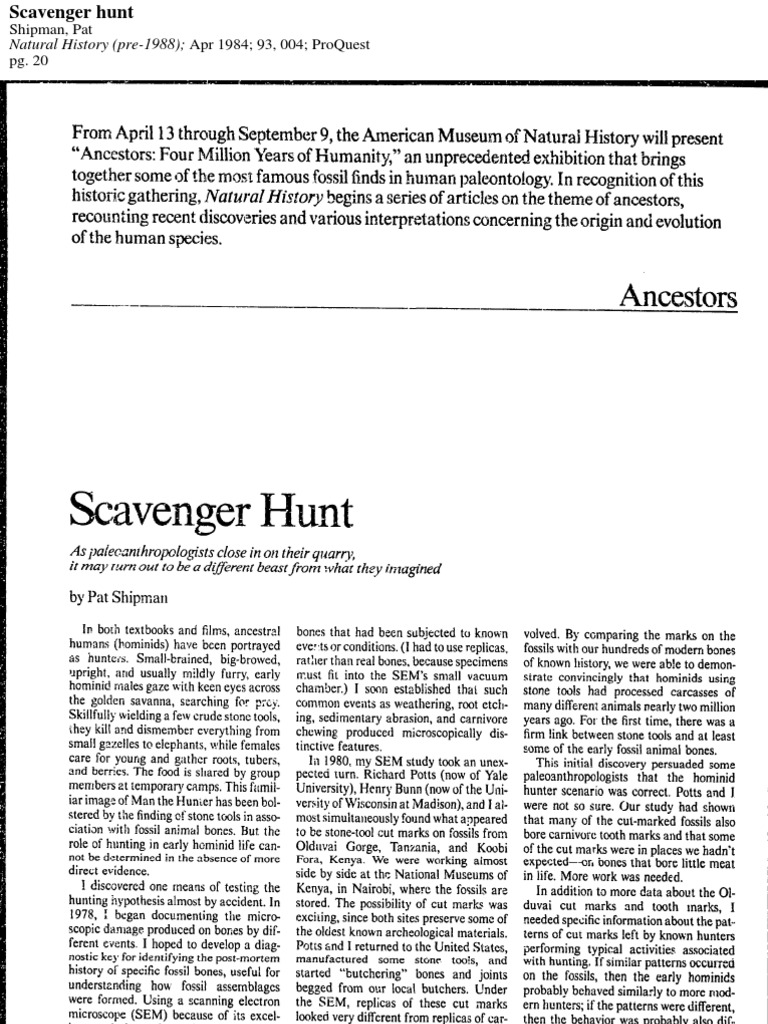 Scavenger Hunt by Pat Shipman | PDF | Monopoly (Economics) | Social ...