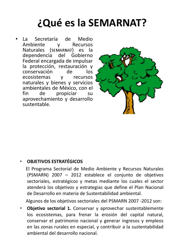 Funciones y objetivos de la SEMARNAT | PDF | Sustentabilidad ...