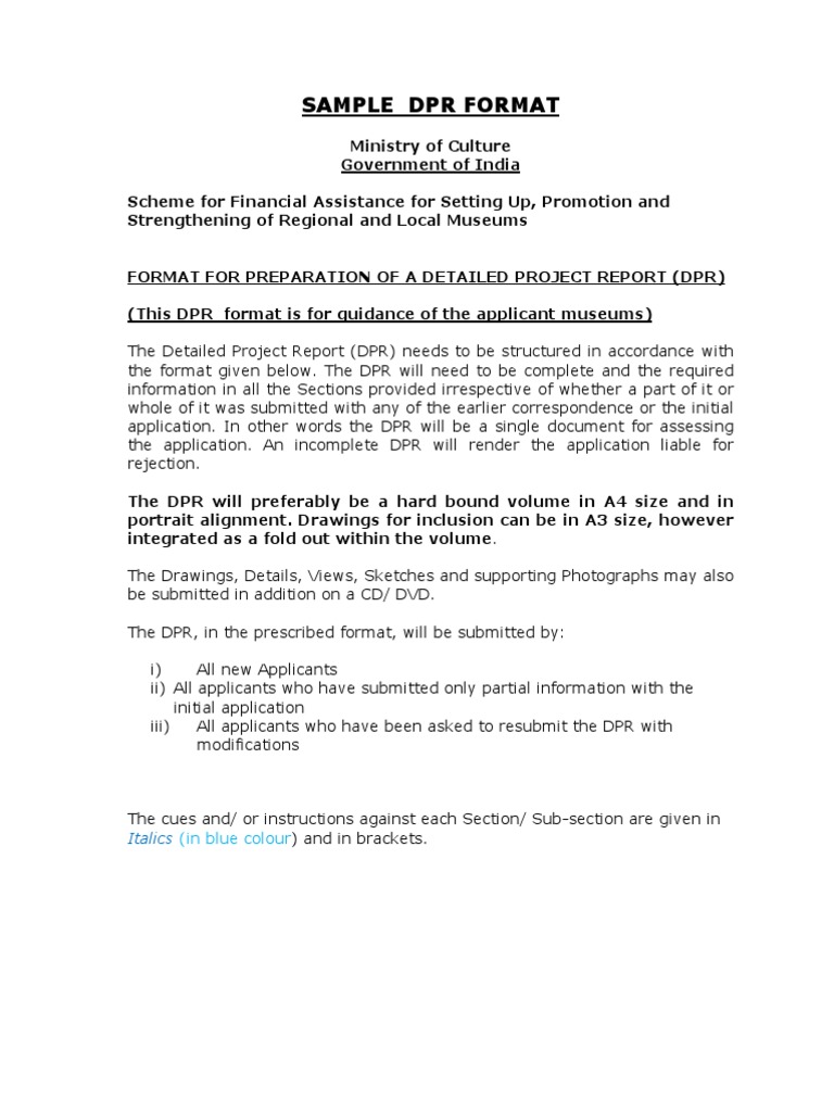 DPR Format Sample | PDF | Museum | Business