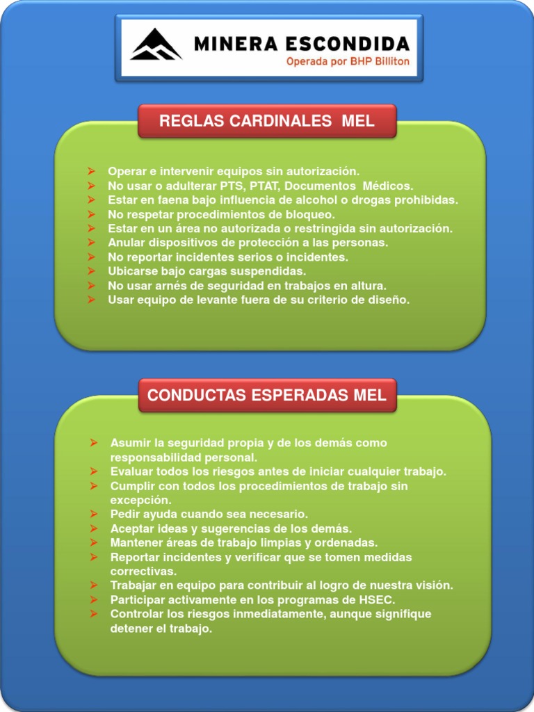 4 Reglas Cardinales | PDF