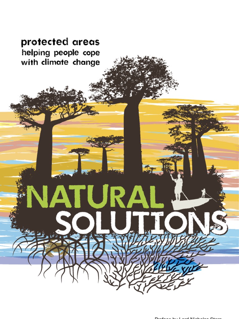 Natural Solutions LP | PDF