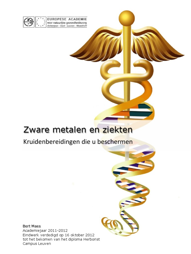 Eindwerk Bert Maes - Zware Metalen en Ziekten | PDF