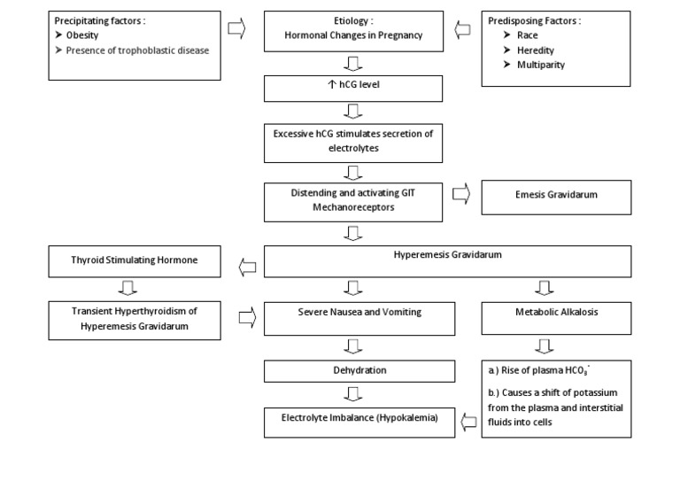 Pathophysiology of Hyperemesis Gravidarum Diagram