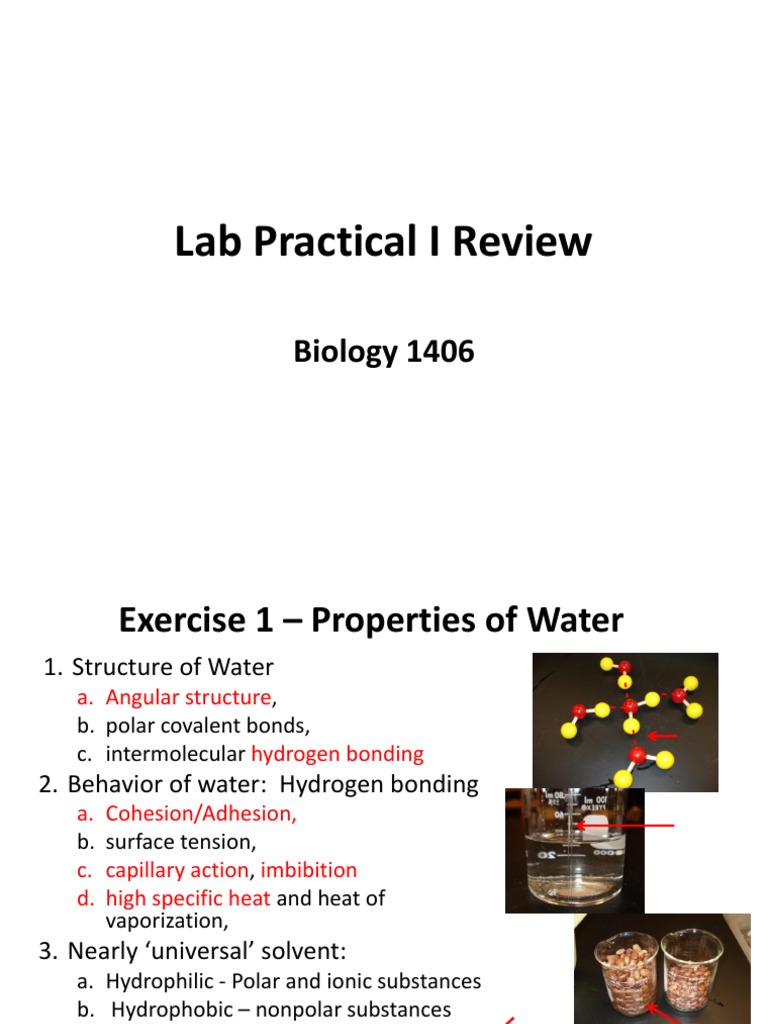 Lab Practical I Review | PDF | Cell (Biology) | Physical Chemistry