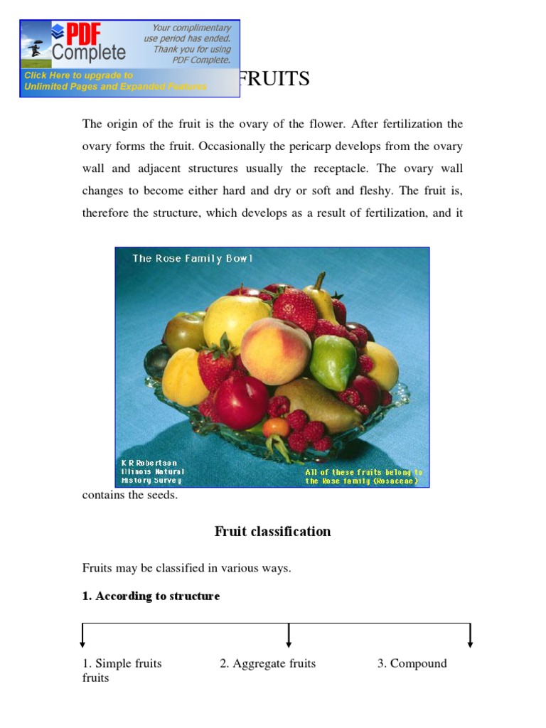 Fruits: Fruit Classification | PDF | Fruit | Horticulture And Gardening