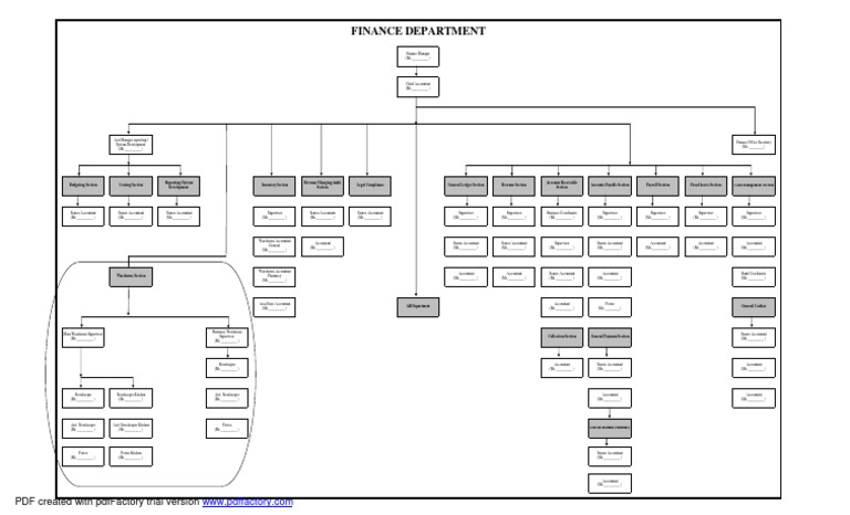 Hospital Finance Department Structure | PDF
