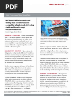 BARACARB | PDF | Chemistry | Nature