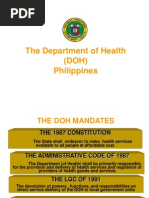 DOH Organizational Chart & Roles | PDF