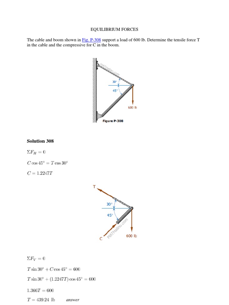 Equilibrium Forces | PDF