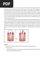 Macam - Macam Fungsi, Gambar, Teknik Alat Probe Periodontal, Probe ...