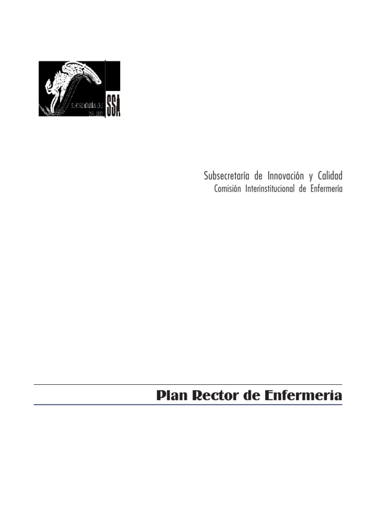 Plan Rector de Enfermeria | PDF | Enfermería | Calidad (comercial)