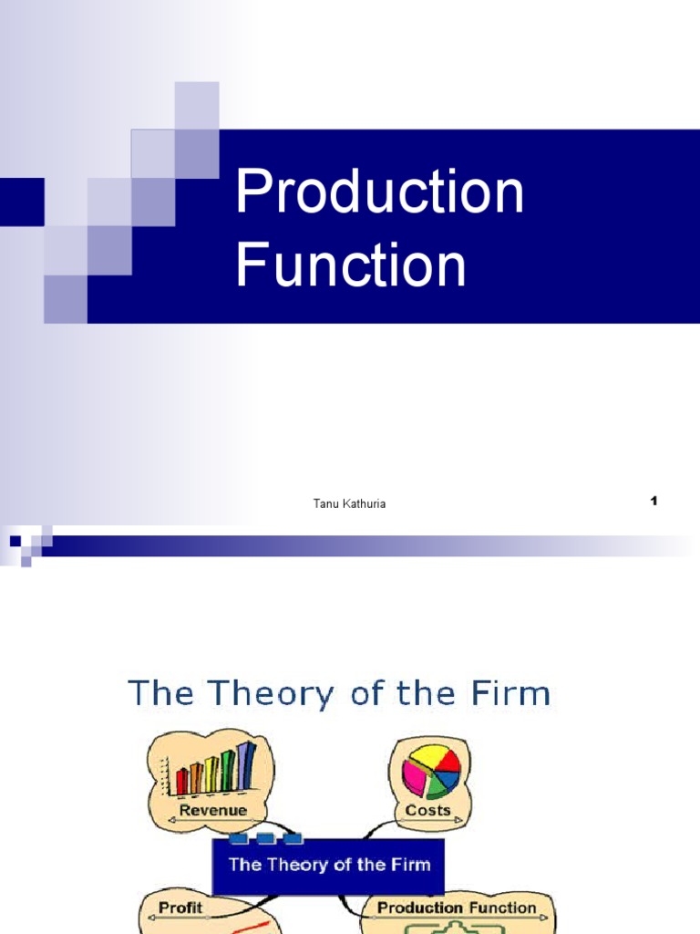 Production Function | PDF | Production Function | Long Run And Short Run