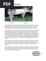 Infinite Computer Solutions Sample Reasoning Placement Paper Level1 | PDF | Nature