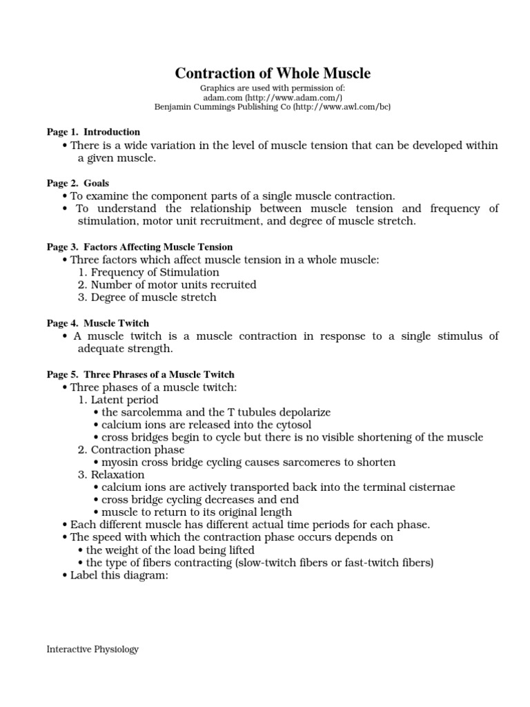 Contraction Whole Muscle | PDF | Muscle Contraction | Stimulus (Physiology)