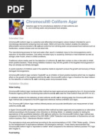 Colilert - 18 E-Coli Detection Manual | PDF | Microbiology | Bacteria