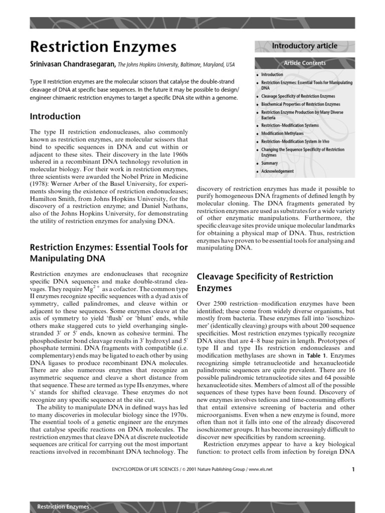 Restriction Enzymes PDF | PDF | Restriction Enzyme | Dna