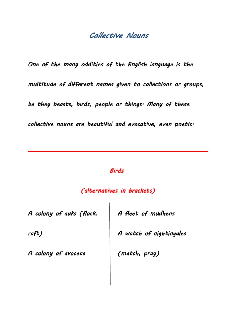 Collective Nouns: Birds (Alternatives in Brackets) | PDF | Fish | Nature