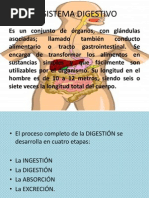 Definición de Tetanización | PDF | Contracción muscular | Músculo