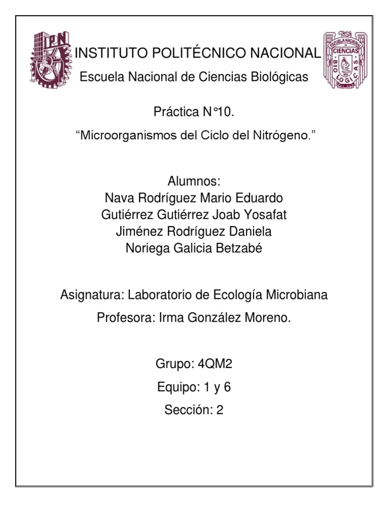 PRACT 10. Ciclo Del N | PDF | Nitrógeno | Metabolismo