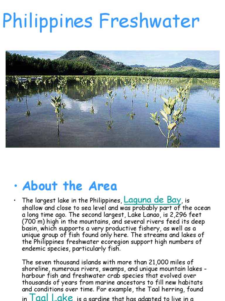 Philippines Freshwater.ppt | Lake | Habitat