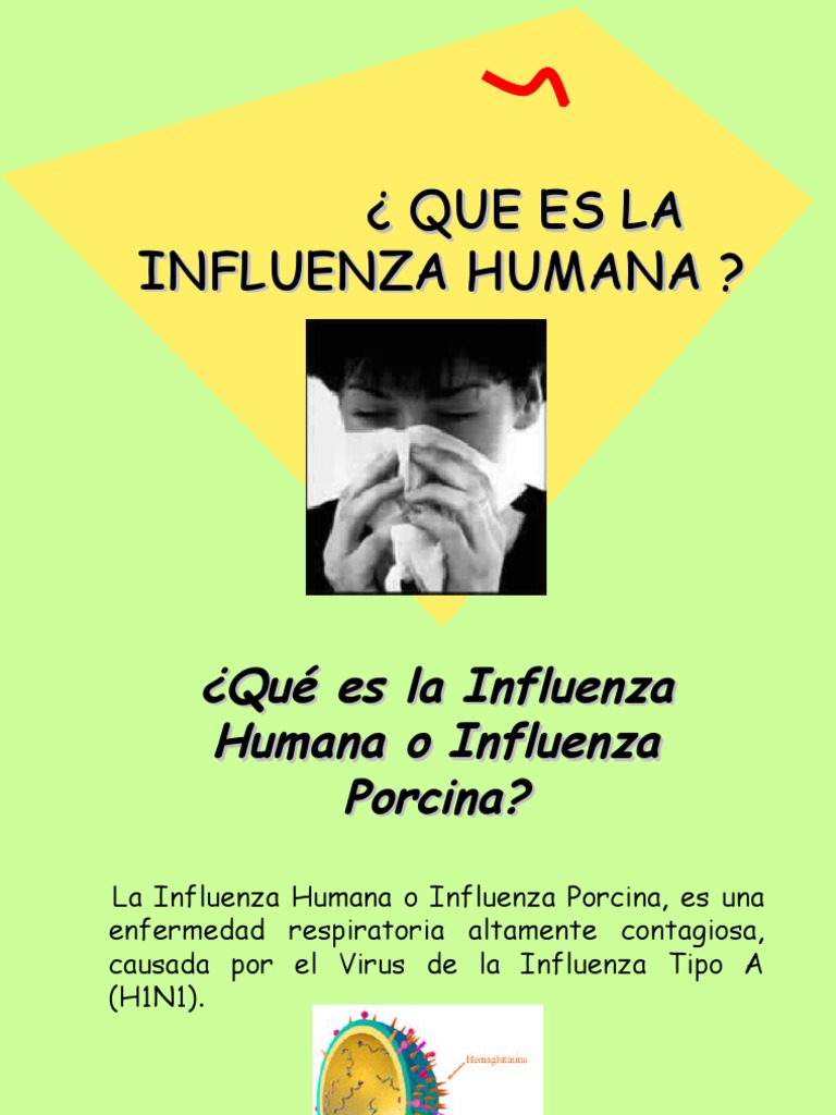 Influenza Humana: Síntomas y Prevención | PDF | Influenza Porcina ...