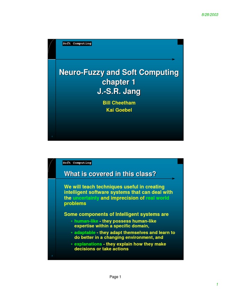Neuro-Fuzzy and Soft Computing J.-S.R. Jang | PDF