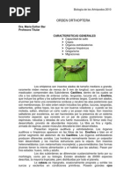 Anatomía y Ciclo de Vida del Grillo | PDF | Insectos | Sistema ...