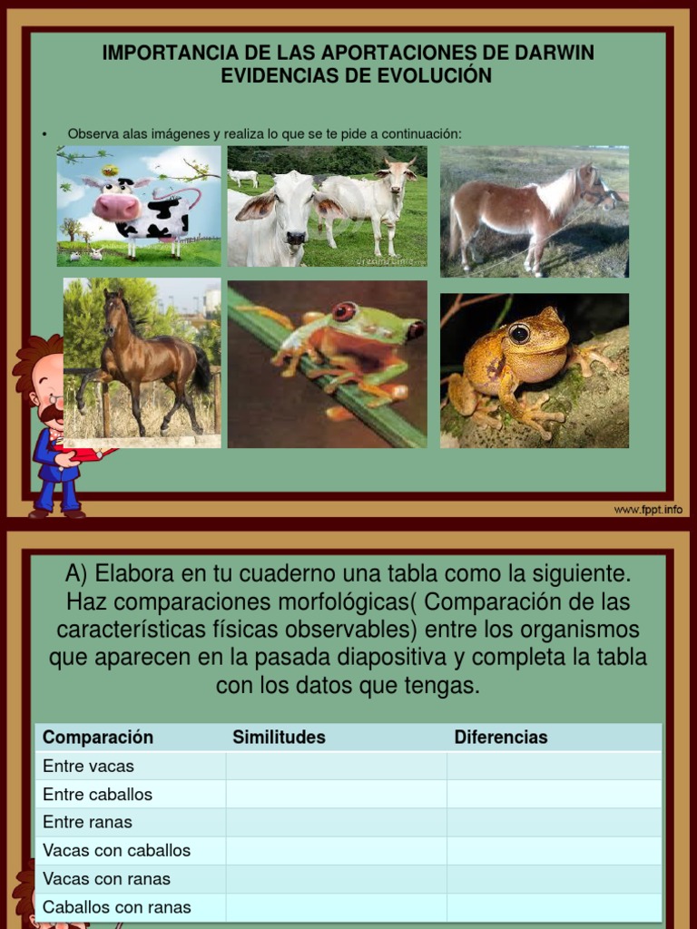 Evidencias de Evolución | PDF | Charles Darwin | Evolución