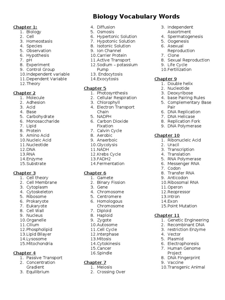 Biology Vocabulary Words | Download Free PDF | Cell (Biology) | Rna