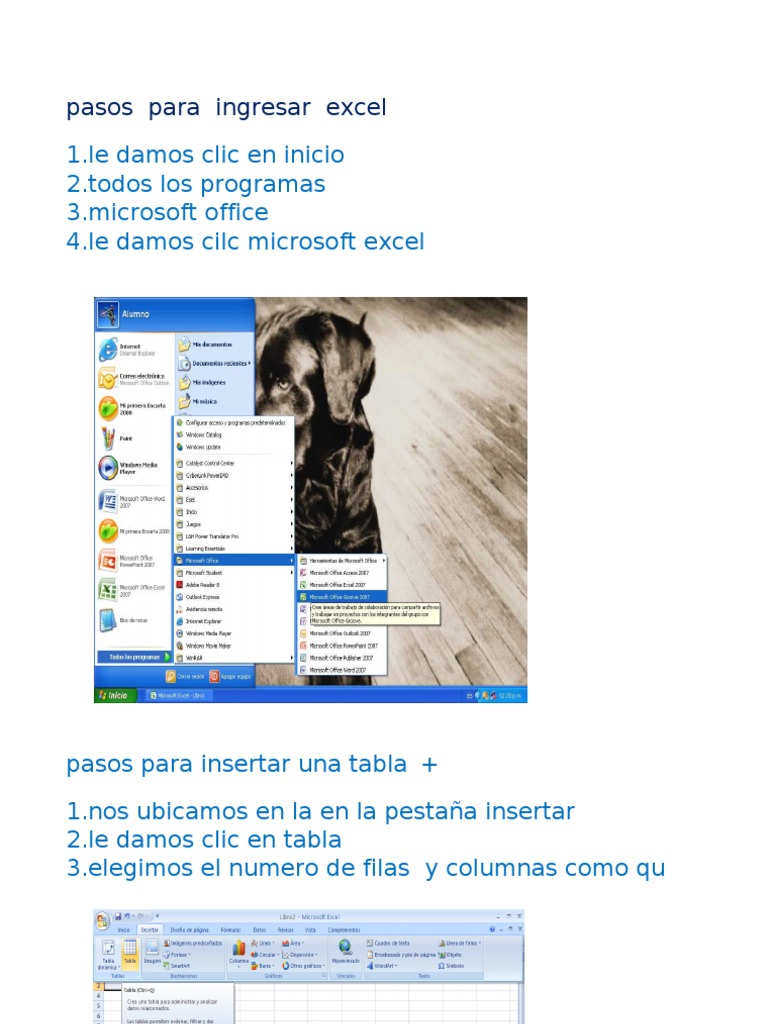 Manual de Microsoft Excel | PDF