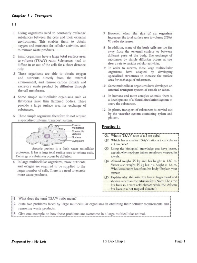 Biology Form 5 Chapter 1 Part 1 | PDF