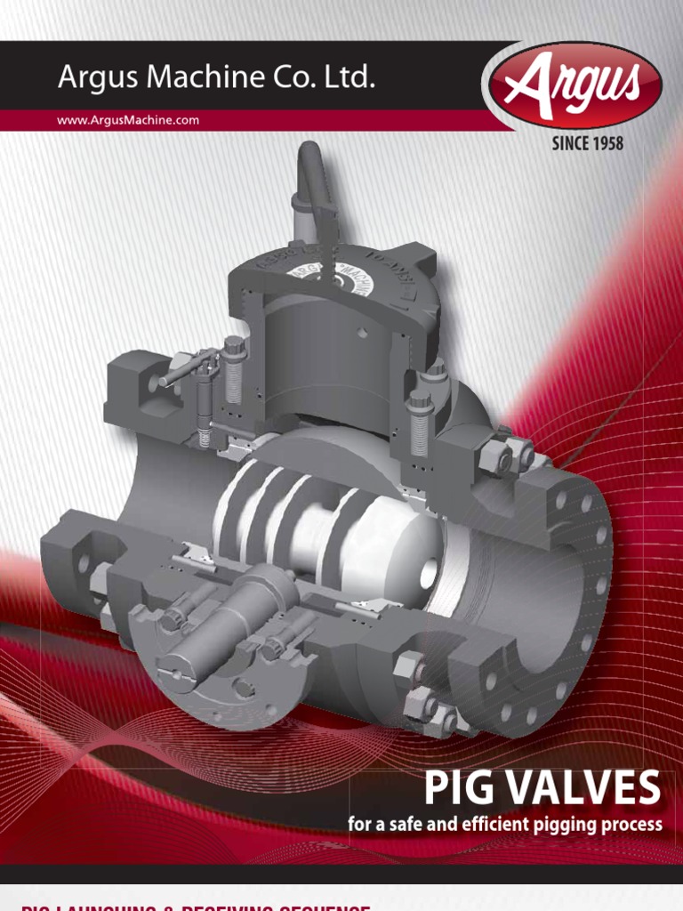 Pigging Valve Brochure Argus Valves | PDF | Valve | Vacuum Tube