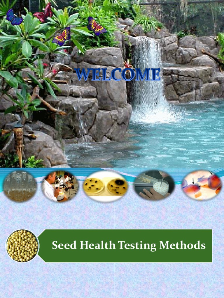 Seed Health Testing in Field Crops Seeds........... Aaaaaaa | PDF ...