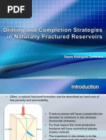 Netherlands Offshore F3 Block - Complete | PDF | Earth Sciences | Geology