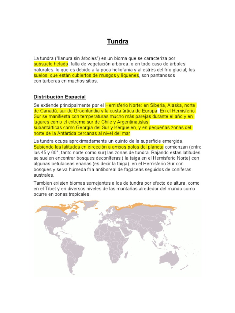 Informe Tundra 2012 | PDF | Geografía Física | Ciencias de la Tierra