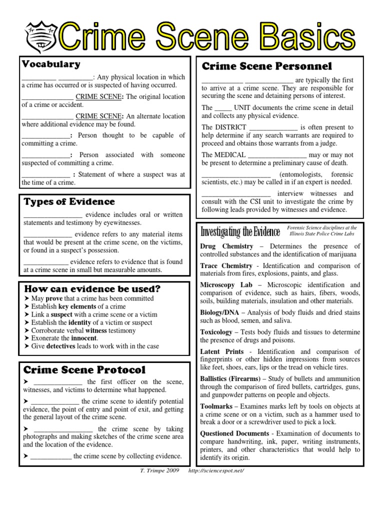 Crimescene Basics Worksheet 1 | PDF | Crime Scene | Witness