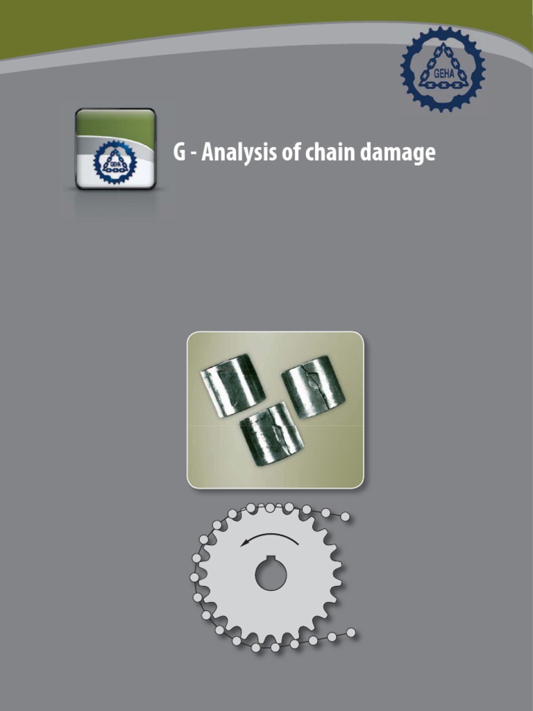 Chain Damage Analysis Guide | PDF