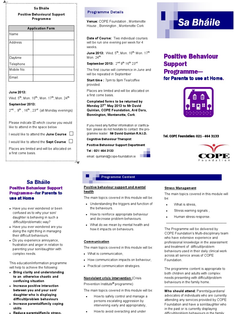 Positive Behaviour Support Programme | PDF | Mental Health | Communication