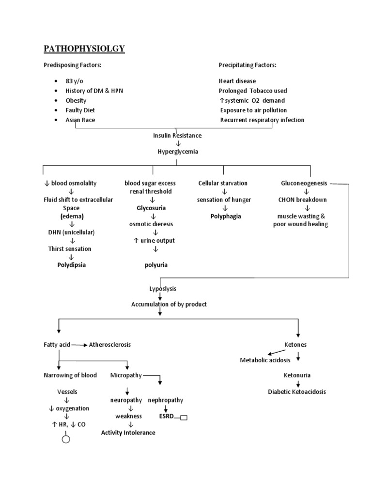 Copd Cad Pathophysiology (Revised) | PDF | Lung | Blood Vessel