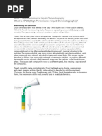 Empower Integration Theory | PDF | Integral | Curvature